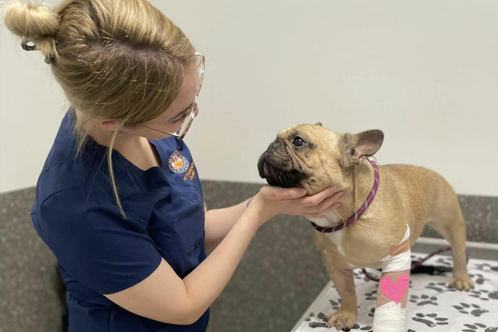 Noah's Crossing Vet - Noah's Crossing Veterinary Clinic